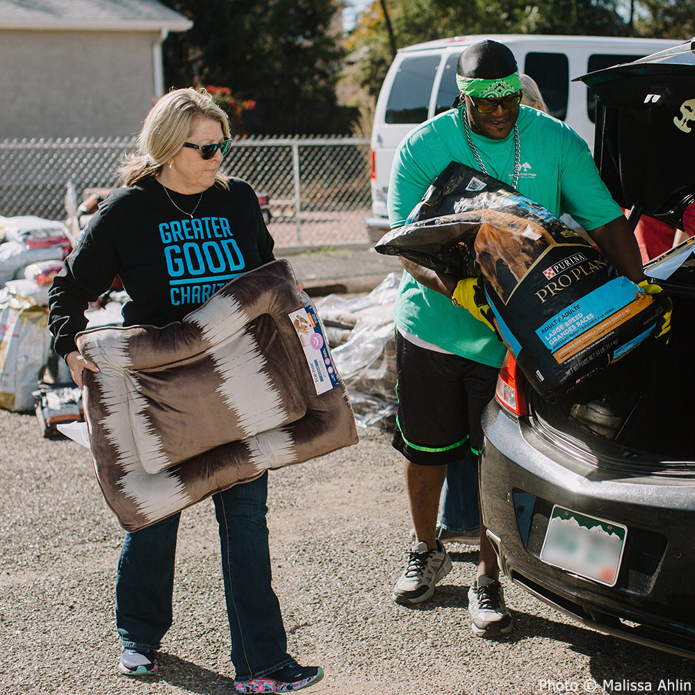 Humanitarian Aid: The Worldwide Impact of Greater Good Charities