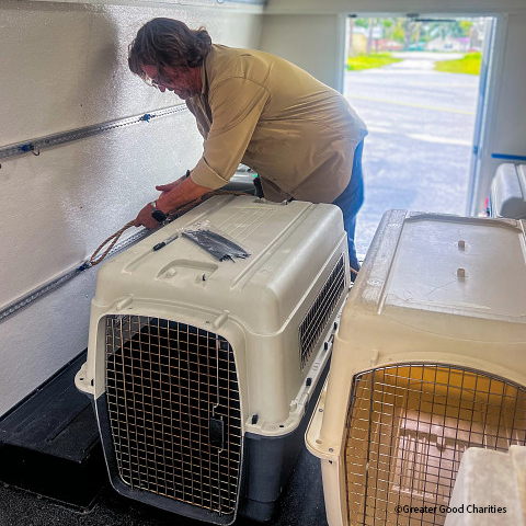 Donate Now to Help People & Pets Affected by Hurricanes Milton and ...